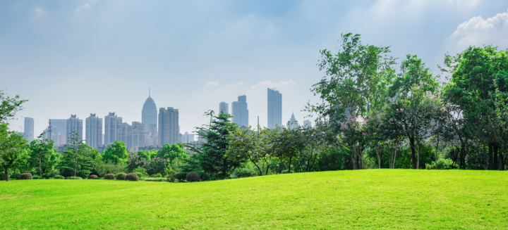 Focused Adaptation: A strategic approach to climate adaptation in ...